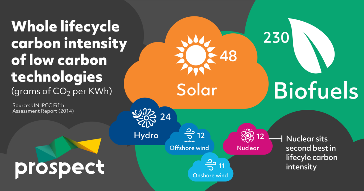 10 steps to a green recovery | Prospect
