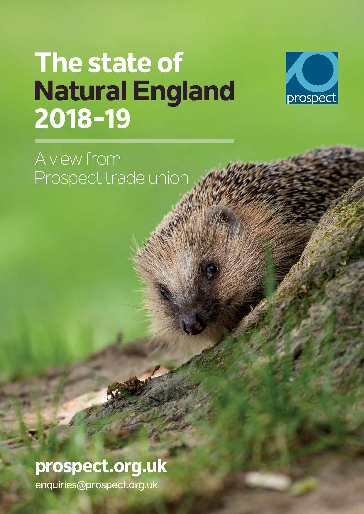 Standing up for Natural England | Prospect